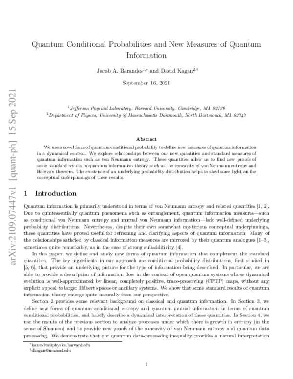 (PDF) Quantum Conditional Probabilities and New Measures of Quantum Information