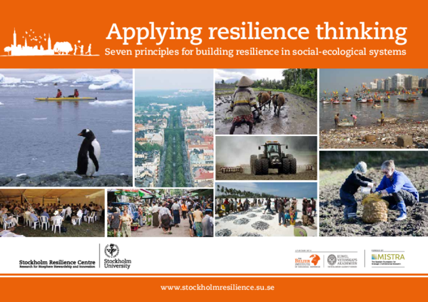 (PDF) Seven principles for building resilience in social-ecological systems