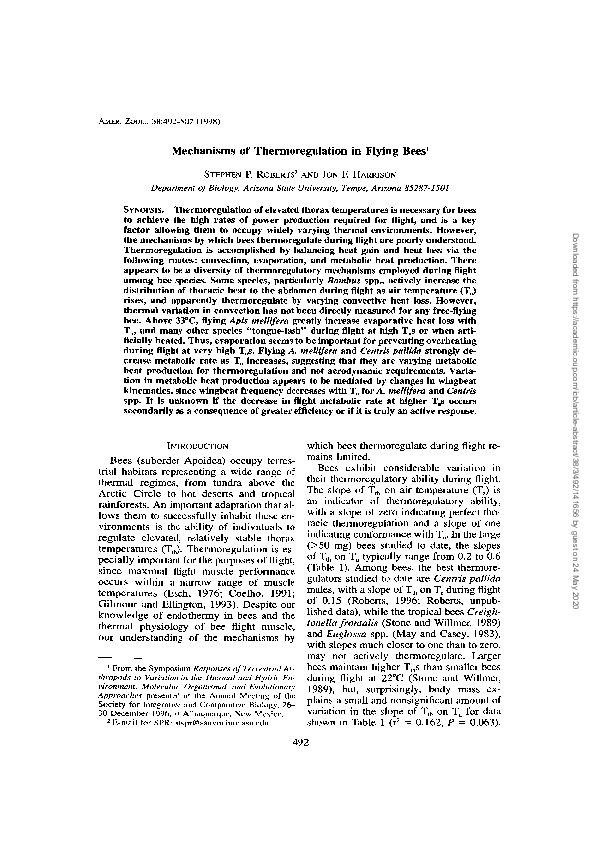 (PDF) Mechanisms of Thermoregulation in Flying Bees