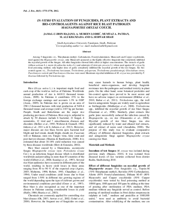 (PDF) In-Vitro Evaluation of Fungicides, Plant Extracts and Bio-Controlagents Against Rice Blast ...
