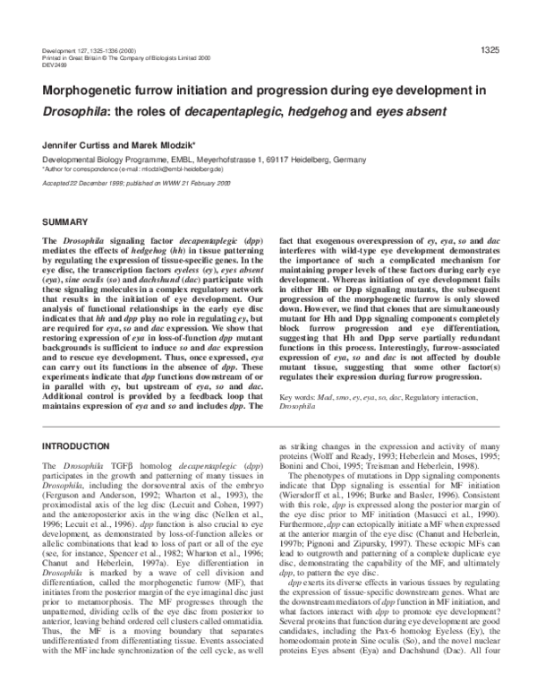 (PDF) Morphogenetic furrow initiation and progression during eye ...