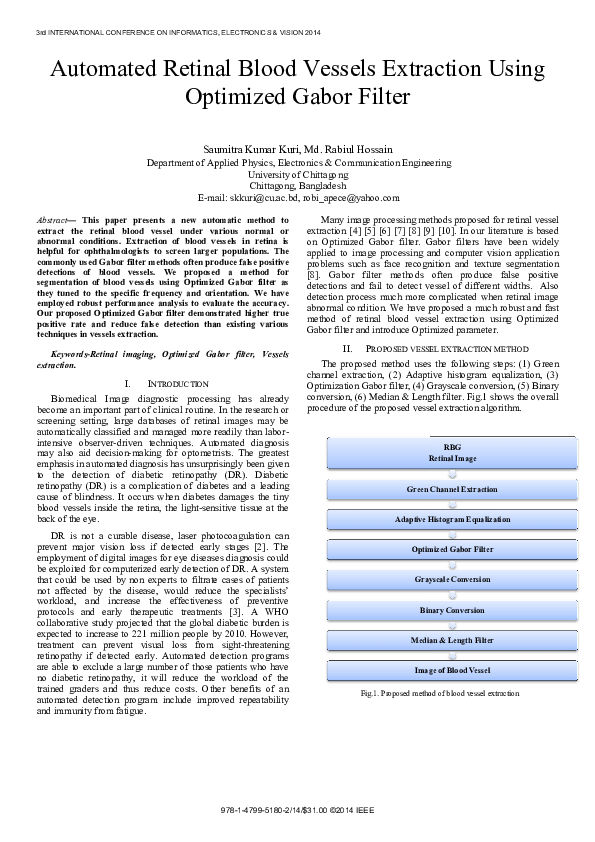 (PDF) Automated retinal blood vessels extraction using Optimized Gabor filter