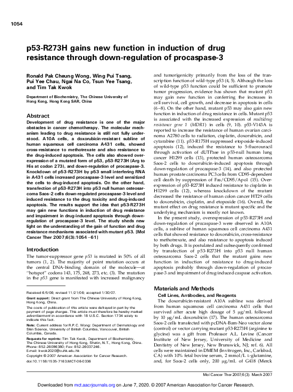 (PDF) p53-R273H gains new function in induction of drug resistance ...
