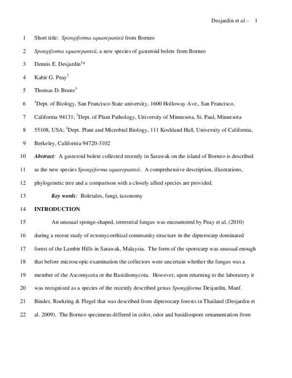 (PDF) Spongiforma squarepantsii from Borneo 1 Spongiforma squarepantsii ...