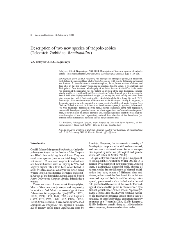 (PDF) Description of two new species of tadpole-gobies (Teleostei ...