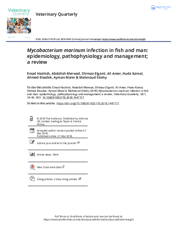(PDF) Mycobacterium marinum infection in fish and man: epidemiology ...