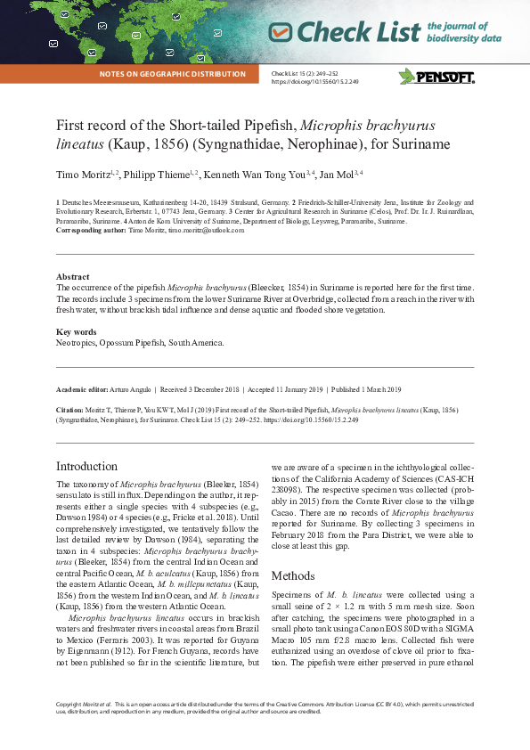 (PDF) First record of the Short-tailed Pipefish, Microphis brachyurus ...