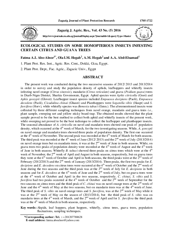 (PDF) Ecological Studies on Some Homopterous Insects Infesting Certain ...