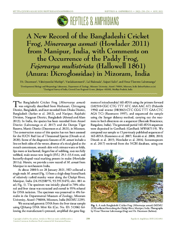 (PDF) A new record of the Banladeshi Cricket Frog, Minervarya asmati ...