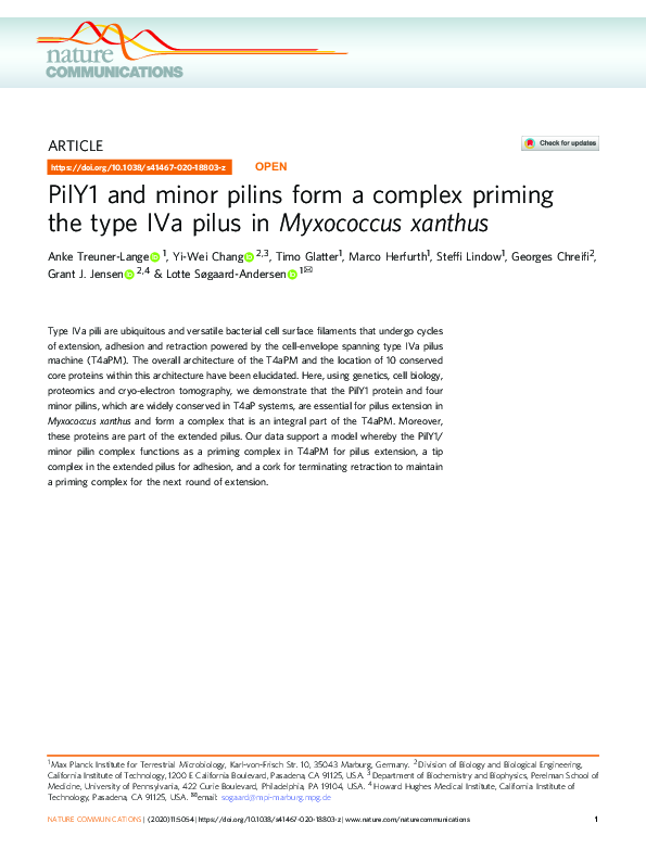 (PDF) PilY1 and minor pilins form a complex priming the type IVa pilus ...