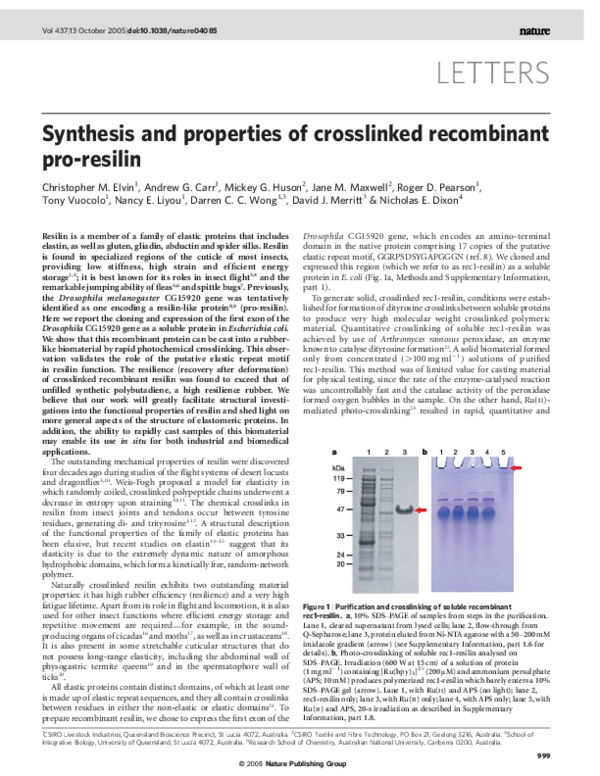 (PDF) Synthesis and properties of crosslinked recombinant pro-resilin