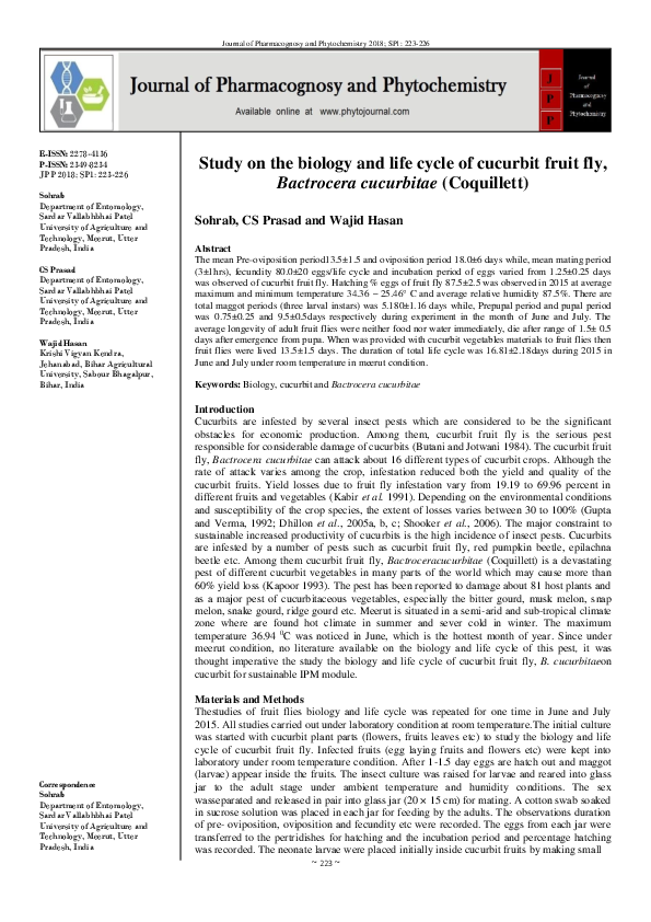 (PDF) Study on the biology and life cycle of cucurbit fruit fly ...