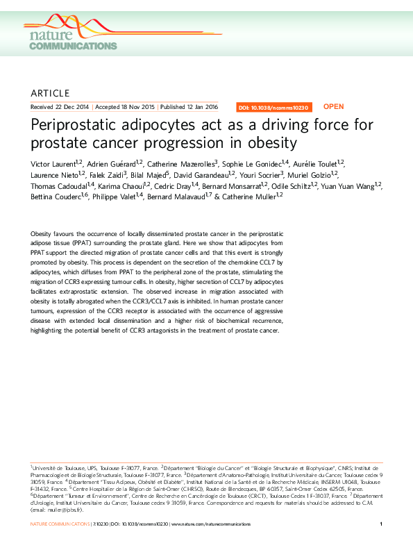 (PDF) Periprostatic adipocytes act as a driving force for prostate ...