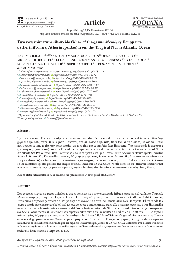 (PDF) Two new miniature silverside fishes of the genus Membras ...