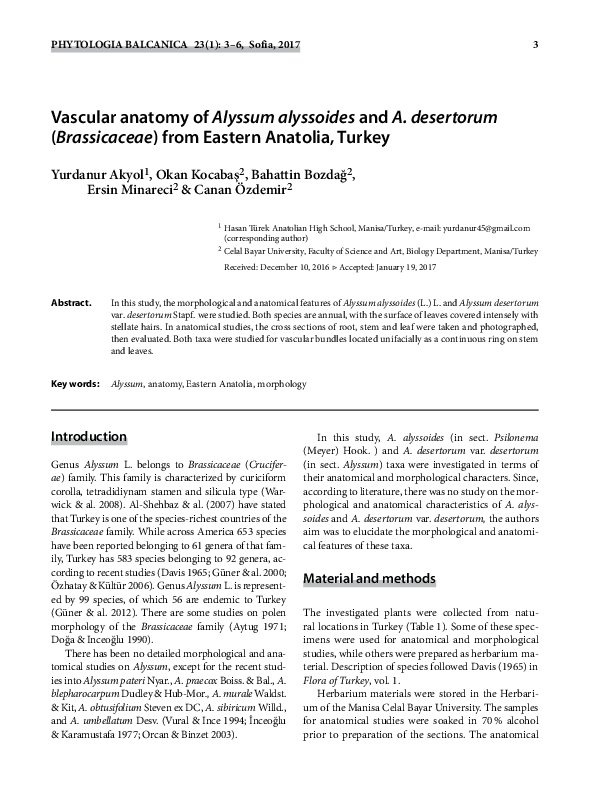 (PDF) Vascular anatomy of Alyssum alyssoides and A. desertorum ...