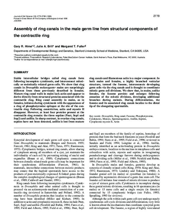 (PDF) Assembly of ring canals in the male germ line from structural ...