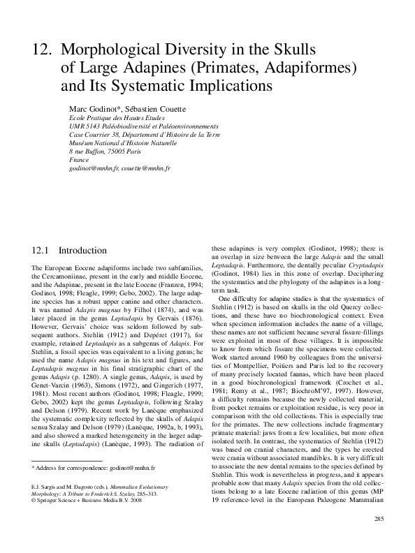 (PDF) 12. Morphological Diversity in the Skulls of Large Adapines ...