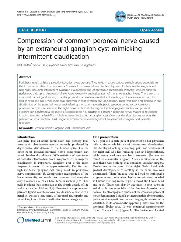Pdf Compression Of Common Peroneal Nerve Caused By An Extraneural 4988