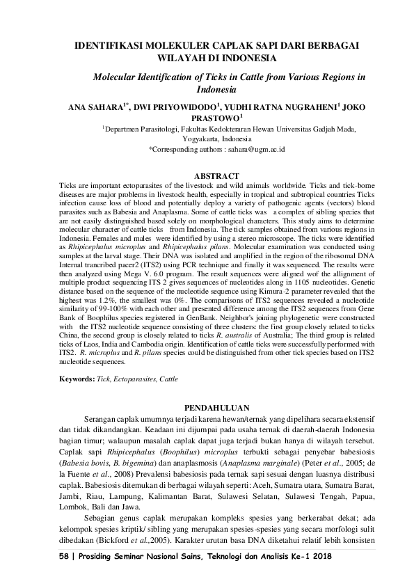 (PDF) Identifikasi Molekuler Caplak Sapi Dari Berbagai Wilayah DI ...