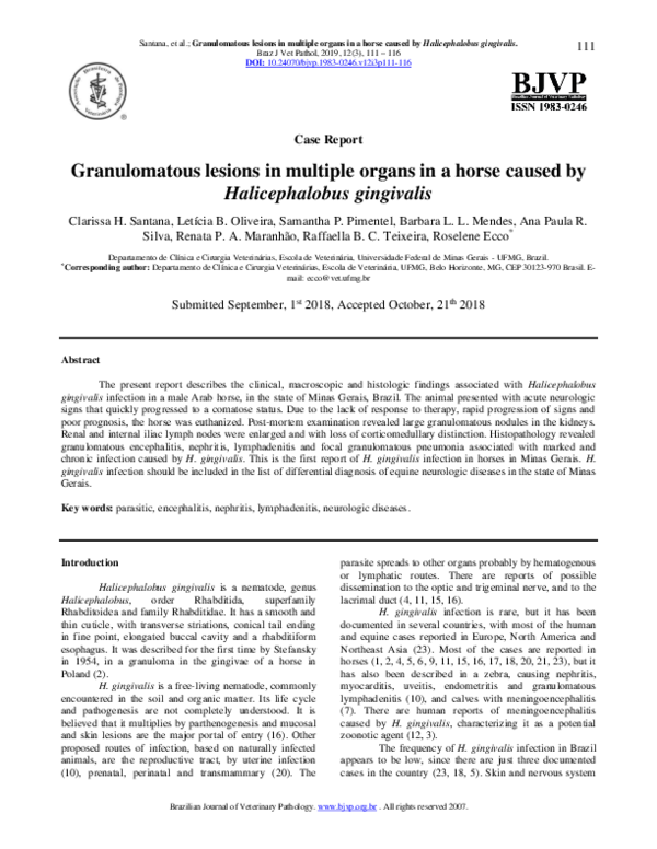 (PDF) Granulomatous lesions in multiple organs in a horse caused by ...