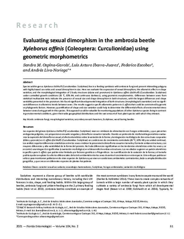 (PDF) Evaluating Sexual Dimorphism in the Ambrosia Beetle Xyleborus ...