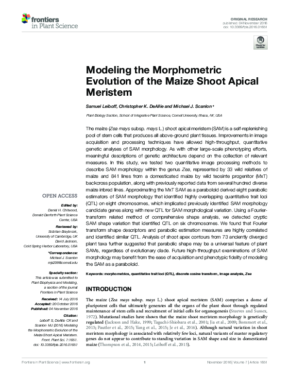 (PDF) Modeling the Morphometric Evolution of the Maize Shoot Apical ...