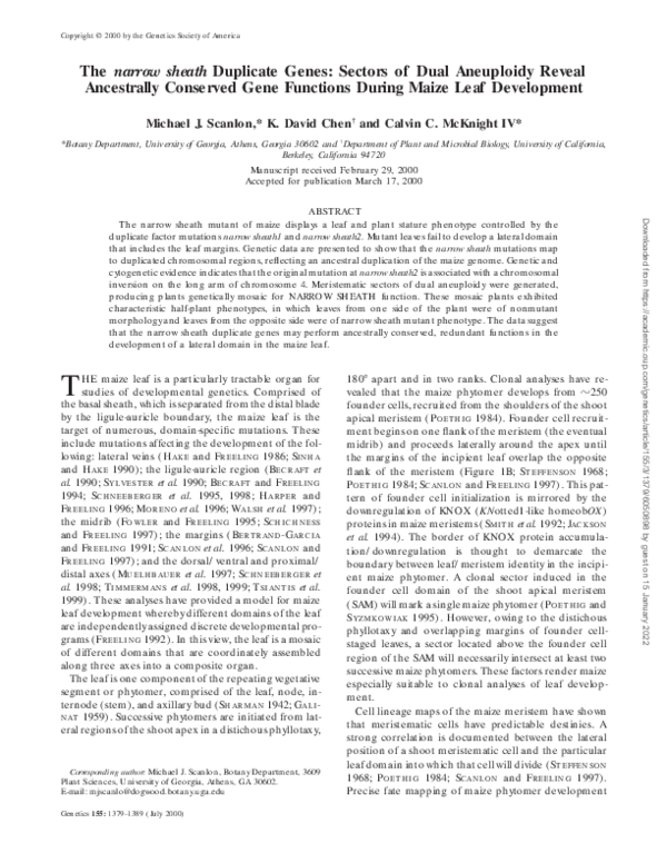 (PDF) The narrow sheath duplicate genes: sectors of dual aneuploidy ...