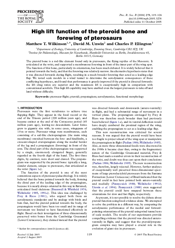 (PDF) High lift function of the pteroid bone and forewing of pterosaurs