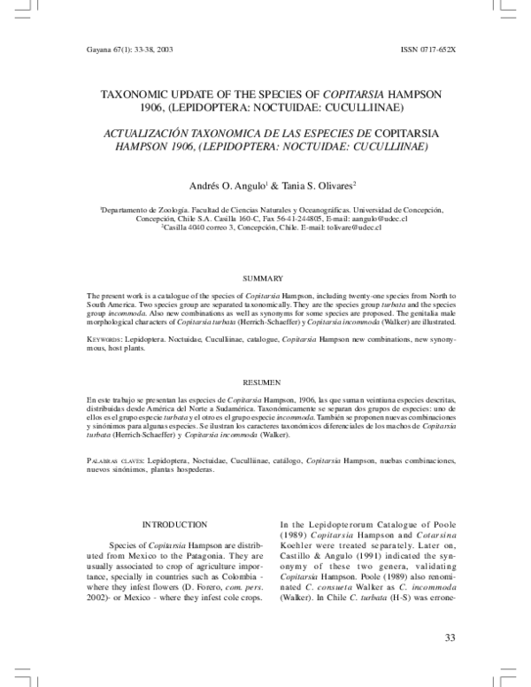 (PDF) Taxonomic Update of the Species of Copitarsia Hampson 1906 ...