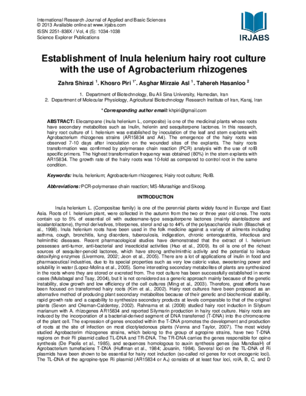 (PDF) Establishment of Inula helenium hairy root culture with the use ...