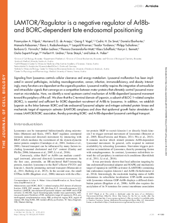 (PDF) LAMTOR/Ragulator is a negative regulator of Arl8b- and BORC ...