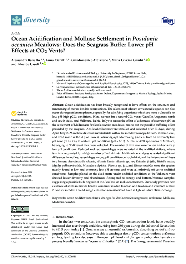 (PDF) Ocean Acidification and Mollusc Settlement in Posidonia oceanica ...