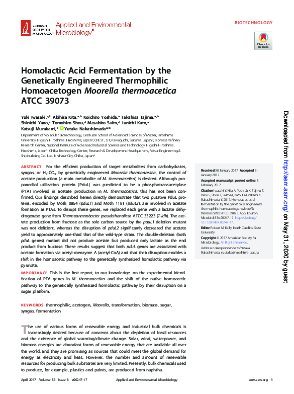 (PDF) Homolactic Acid Fermentation by the Genetically Engineered ...