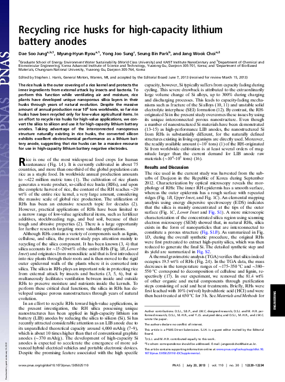 (PDF) Recycling rice husks for high-capacity lithium battery anodes