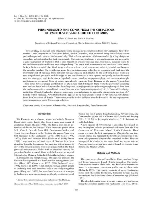 (PDF) Permineralized pine cones from the Cretaceous of Vancouver Island ...