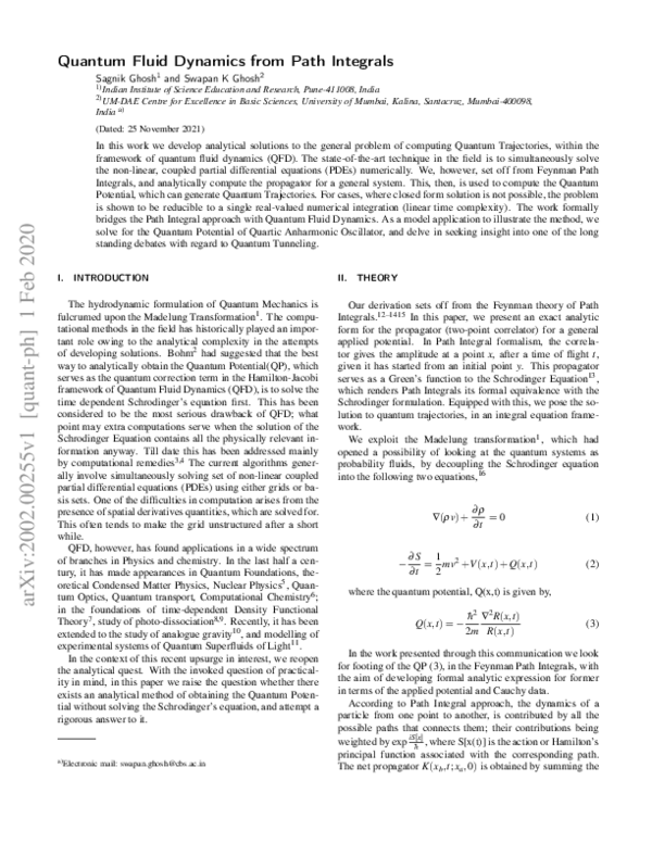Quantum Fluid Dynamics From Path Integrals