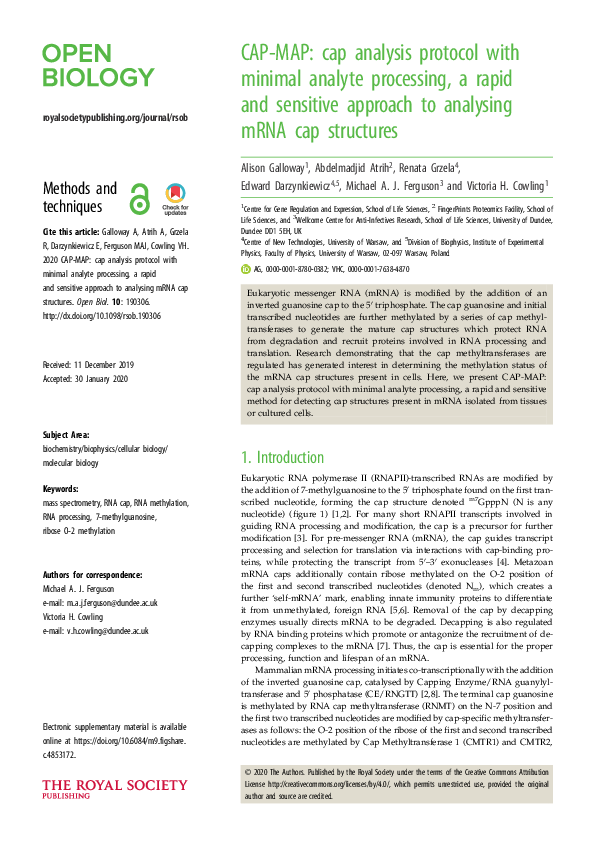 (PDF) CAP-MAP: Cap Analysis Protocol with Minimal Analyte Processing, a rapid and sensitive ...
