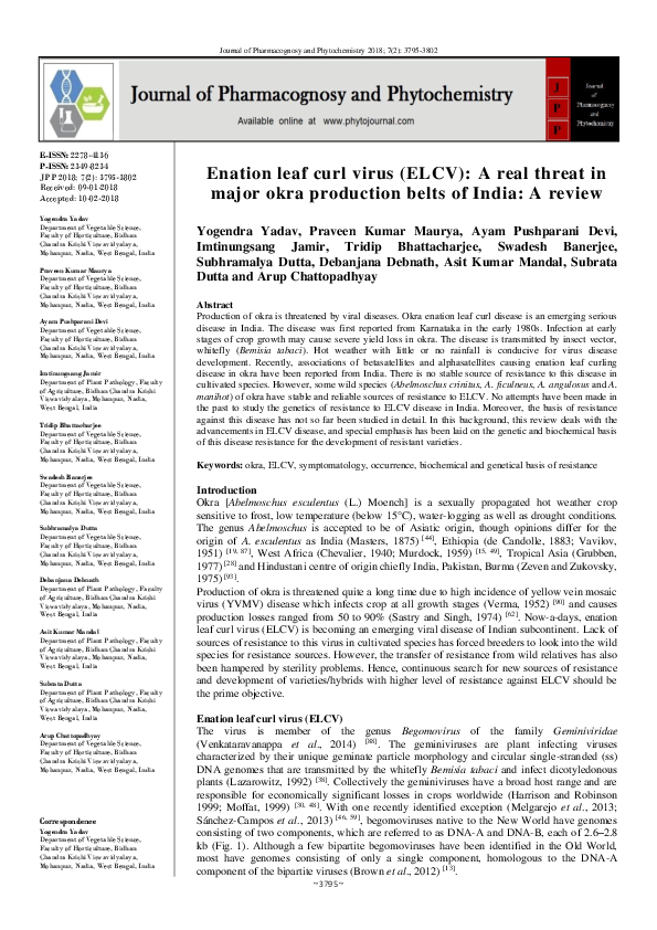 (PDF) Enation leaf curl virus (ELCV): A real threat in major okra ...