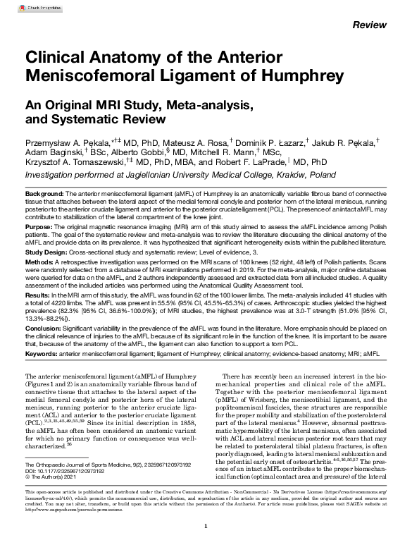 (PDF) Clinical Anatomy of the Anterior Meniscofemoral Ligament of ...