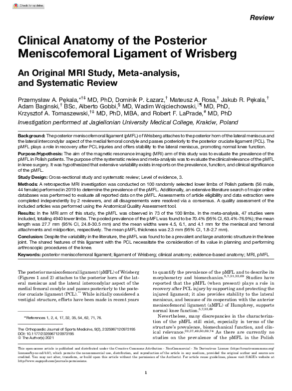 (PDF) Clinical Anatomy of the Posterior Meniscofemoral Ligament of ...