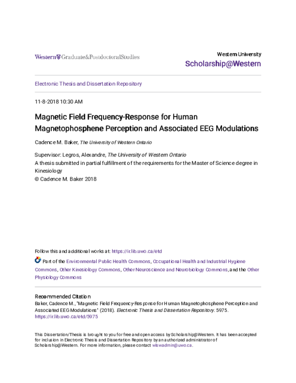 (PDF) Magnetic Field Frequency-Response for Human Magnetophosphene ...