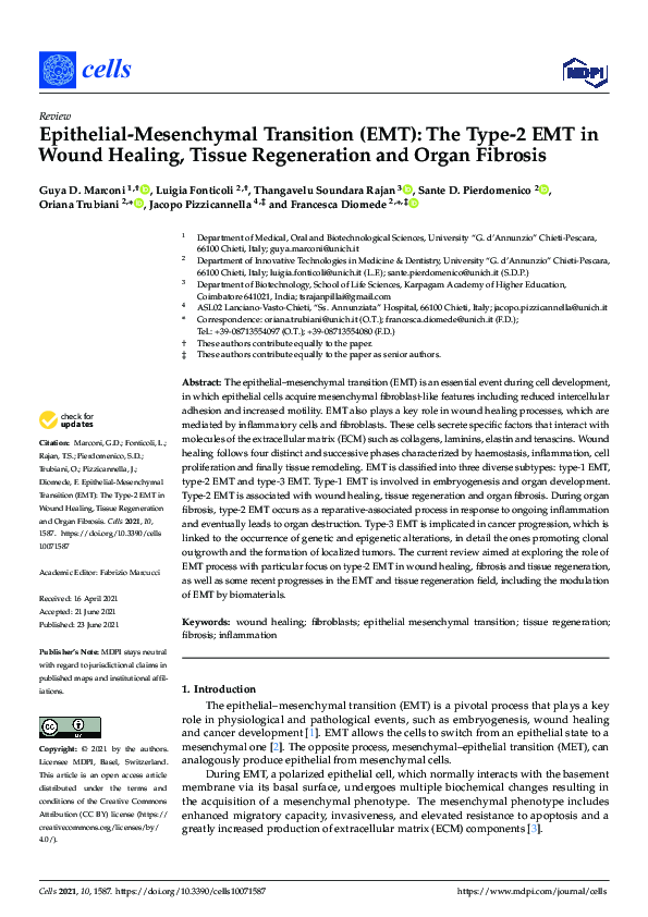 (PDF) Epithelial-Mesenchymal Transition (EMT): The Type-2 EMT in Wound Healing, Tissue ...