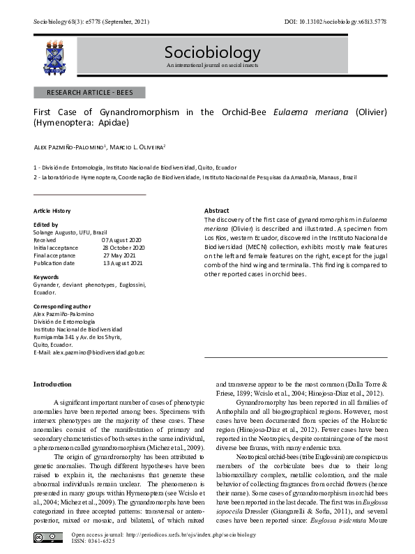 (PDF) First Case of Gynandromorphism in the Orchid-Bee Eulaema meriana ...