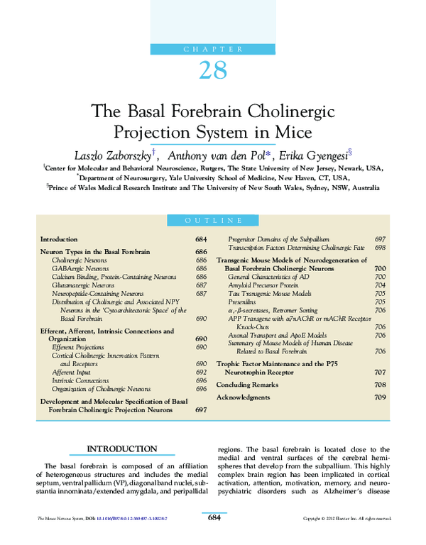 (PDF) The Basal Forebrain Cholinergic Projection System in Mice