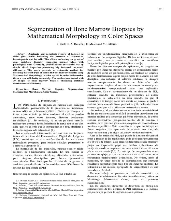 (PDF) Segmentation of Bone Marrow Biopsies by Mathematical Morphology ...