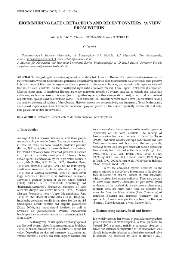 (PDF) Bioimmuring late cretaceous and recent oysters : 'A view from within
