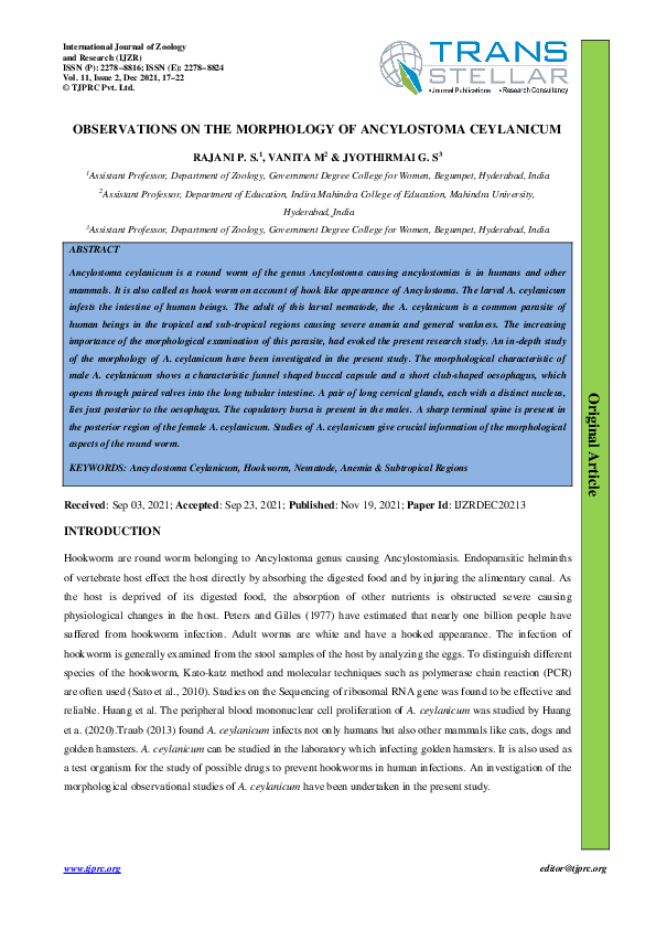 (PDF) OBSERVATIONS ON THE MORPHOLOGY OF ANCYLOSTOMA CEYLANICUM