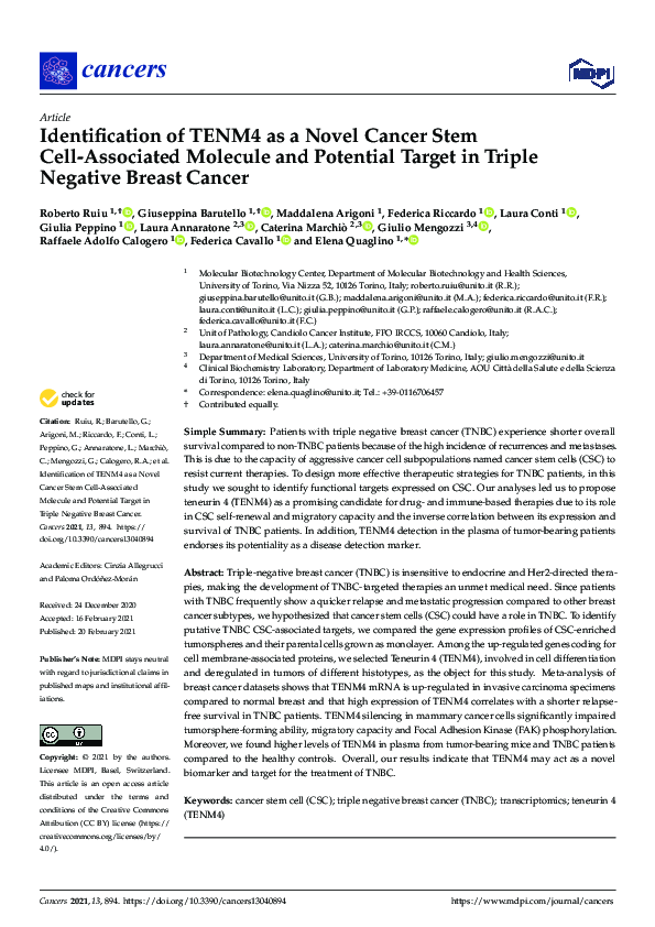 (PDF) Identification of TENM4 as a Novel Cancer Stem Cell-Associated ...