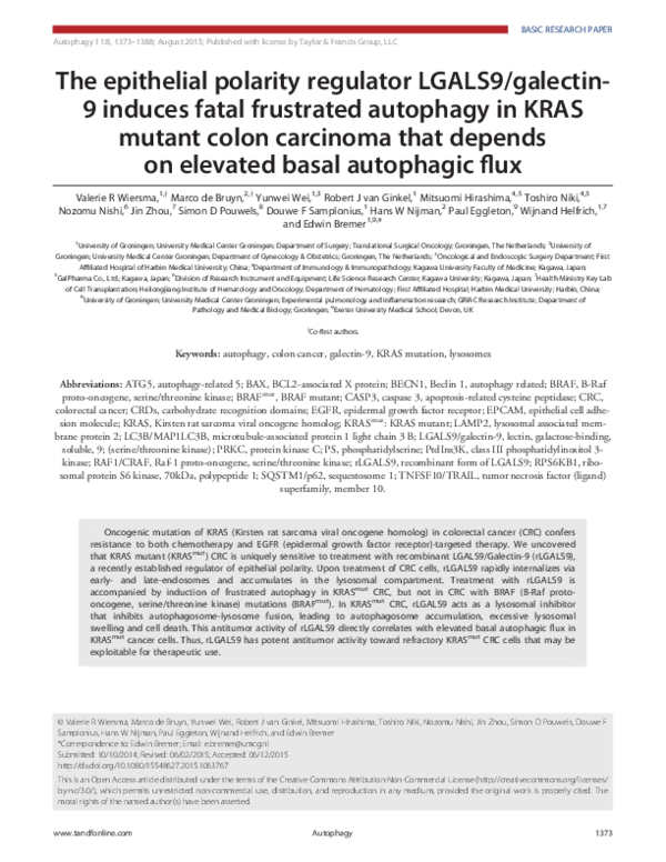 (PDF) The epithelial polarity regulator LGALS9/galectin-9 induces fatal ...