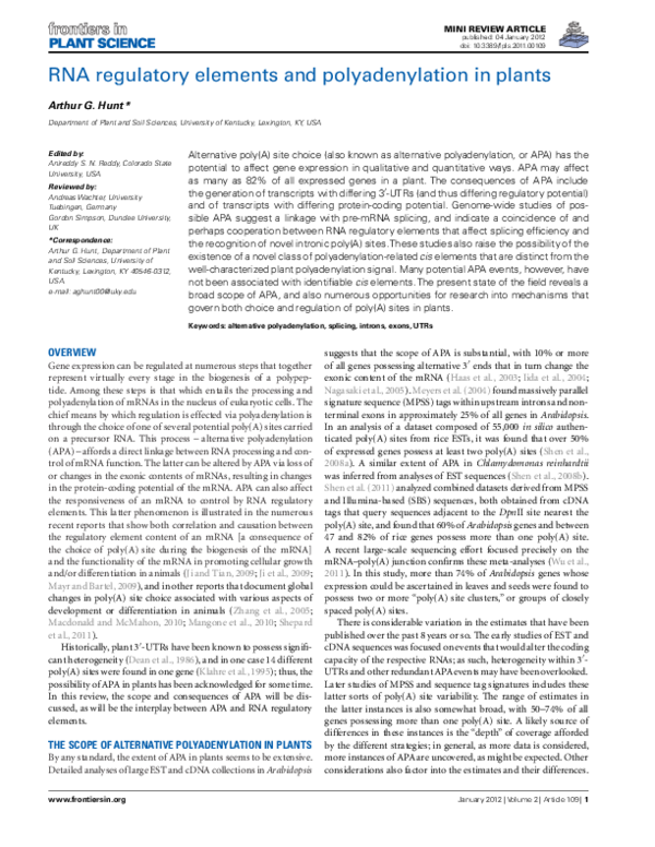 (PDF) RNA Regulatory Elements and Polyadenylation in Plants